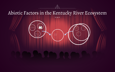 Abiotic Factors in the Kentucky River Ecosystem by Lauren Moorhead on Prezi