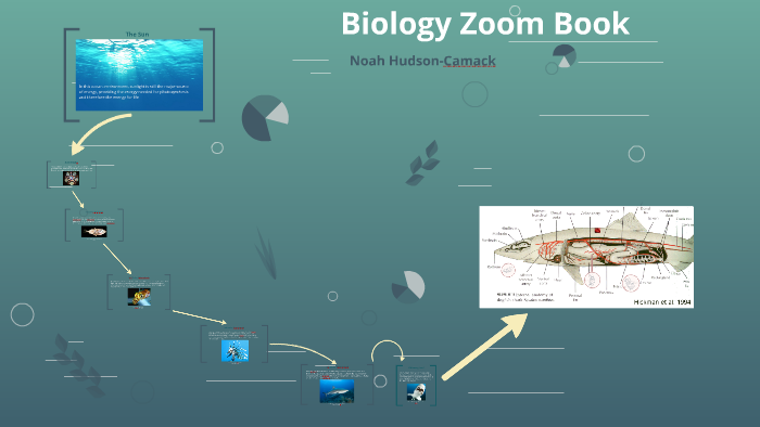 Biology Zoom Book by Noah Hudson-Camack on Prezi