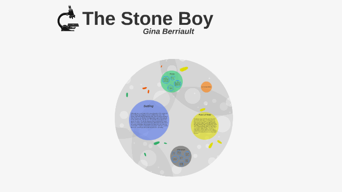 Stone Boy by Courtney Sullivan on Prezi