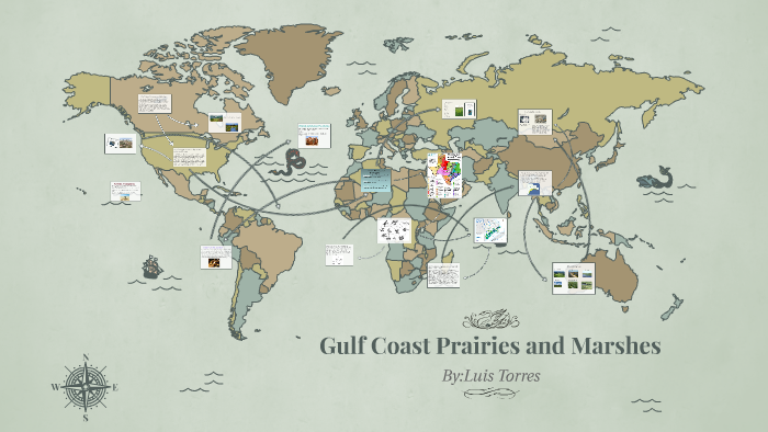Gulf Coast Prairies and Marshes by luis torres on Prezi