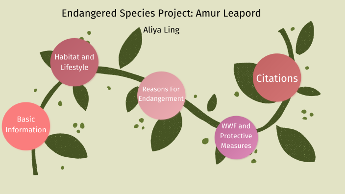 Module Nine Lesson Three Assignment One Part One by Aliya Ling on Prezi