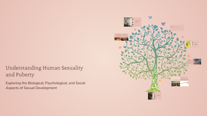 Understanding Human Sexuality and Puberty by Carl Ellieson Jumarang on ...