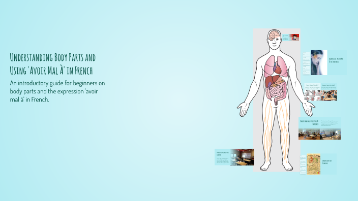 Understanding Body Parts and Using 'Avoir Mal À' in French by Ragaa ...