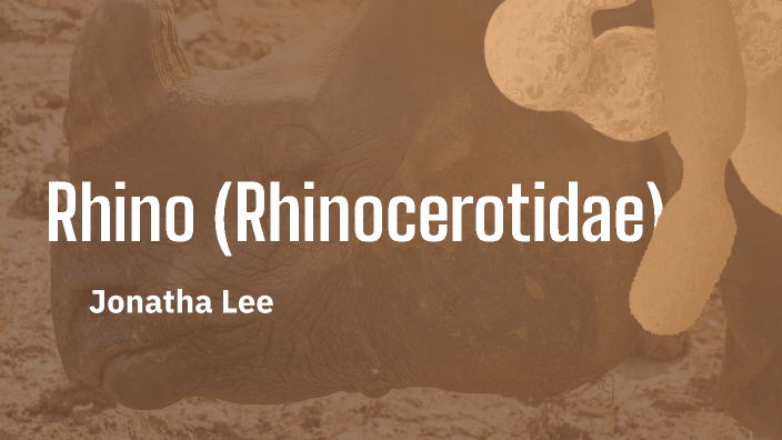 Rhino Bio by Jonathan Lee on Prezi