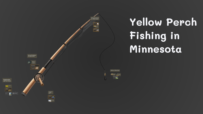 Yellow Perch Fishing in Minnesota by Bennett Knutson on Prezi