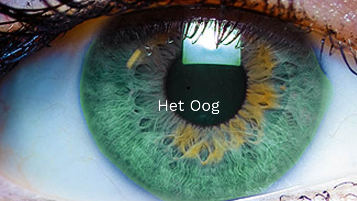 oog by Gavin Spooner on Prezi