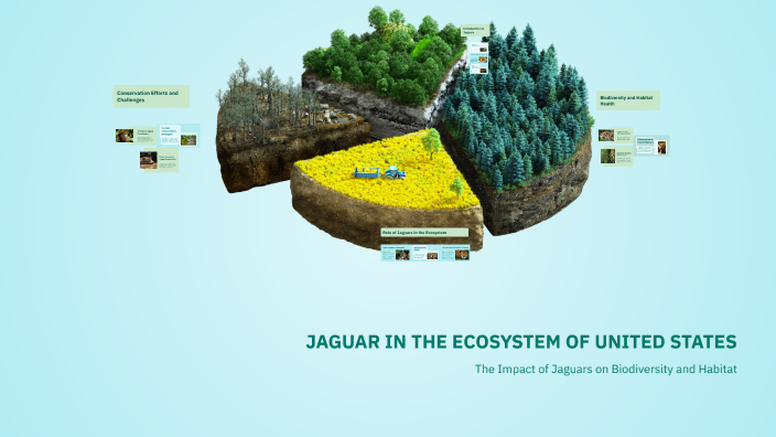 JAGUAR IN THE ECOSYSTEM OF UNITED STATES by Miguel Cardiel on Prezi