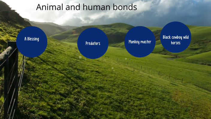 animal and human bonds by Wyatt Jeffrey on Prezi