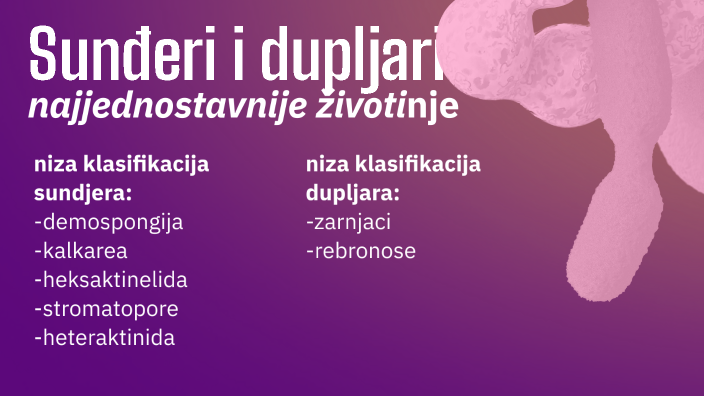 Sundjeri i dupljari by lajla j on Prezi