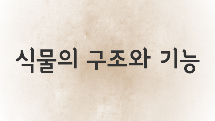 식물의 구조와 기능 by inha park on Prezi