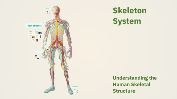 Skeleton System by Larisa Salcudean on Prezi
