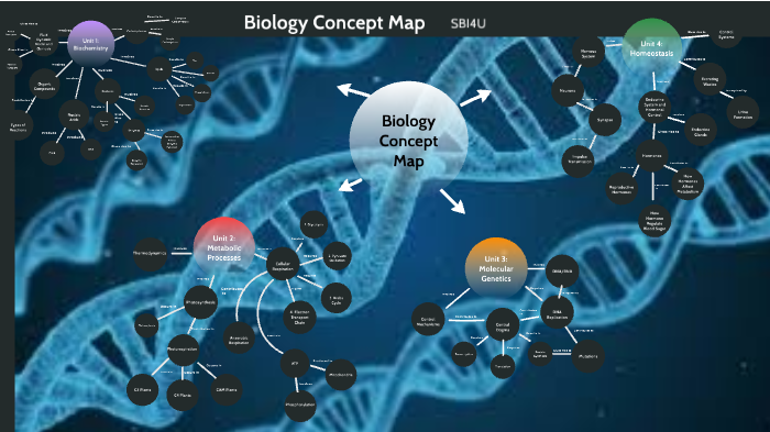 Biology Concept Map by mallory gale on Prezi