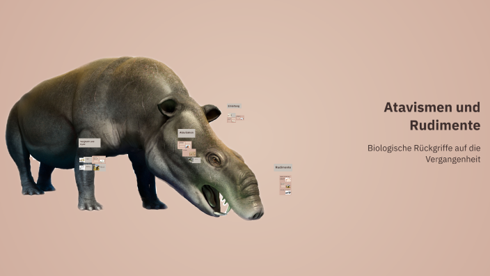Atavismen und Rudimente by Ilayda 25erzrm on Prezi
