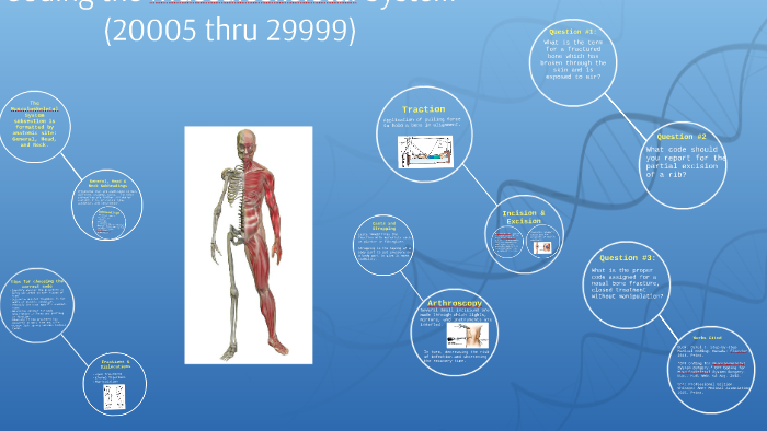 Coding the Musculoskeletal System by Brian Ciesielski on Prezi