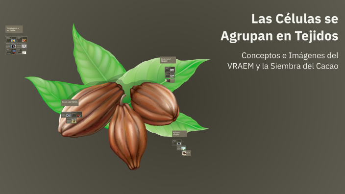 Las Células se Agrupan en Tejidos by FIDEL LAURA LIZARBE on Prezi