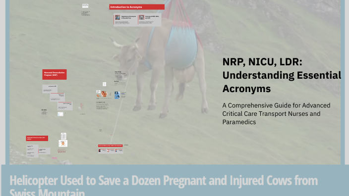 NRP, NICU, LDR: Understanding Essential Acronyms by Megan Wood on Prezi