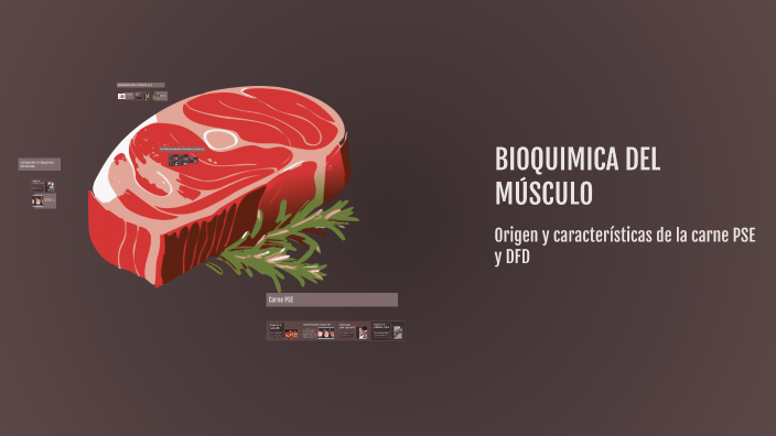 BIOQUIMICA DEL MÚSCULO by Emily Carvajal Armijo on Prezi