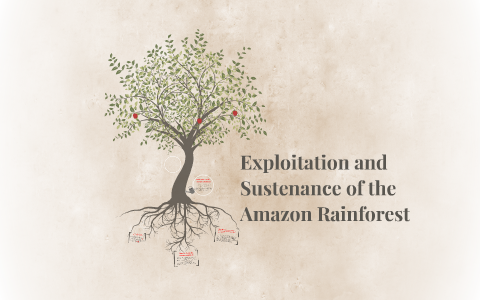 Exploitation and Sustenance of the Amazon Rainforest by Harish Kumar on ...
