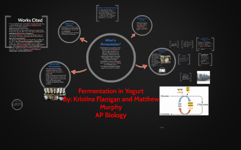 Fermentation of Yogurt by Matthew Murphy on Prezi