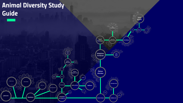 Animal Diversity Study Guide by Beth Black on Prezi