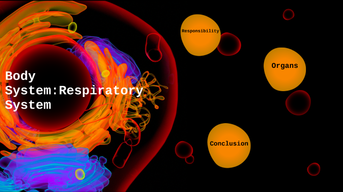 Body System Project by Steven Ramos on Prezi