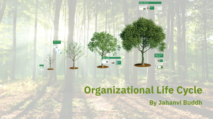 Organizational Life Cycle by Janvi Budh on Prezi