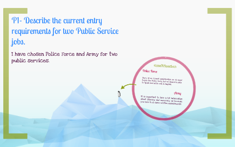P1- Describe the current entry requirements for two public s by ...