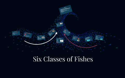 Six Classes of Fishes by Kelly Nicholson on Prezi
