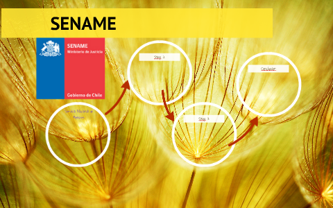 SENAME by on Prezi