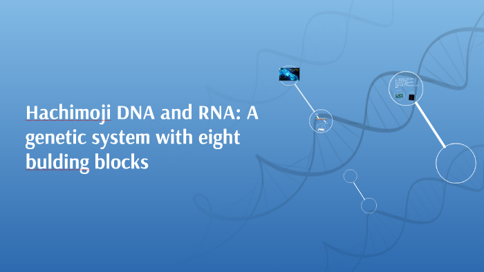 Hachimoji DNA and RNA: A genetic system with eight bulding b by Montse ...