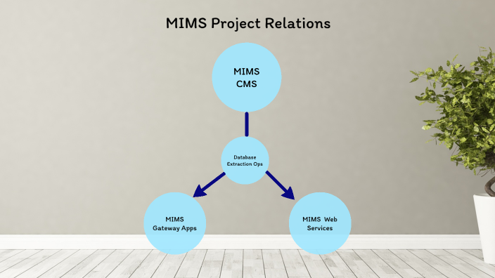 Web Services & MIMS Gateway by Christian Danao on Prezi