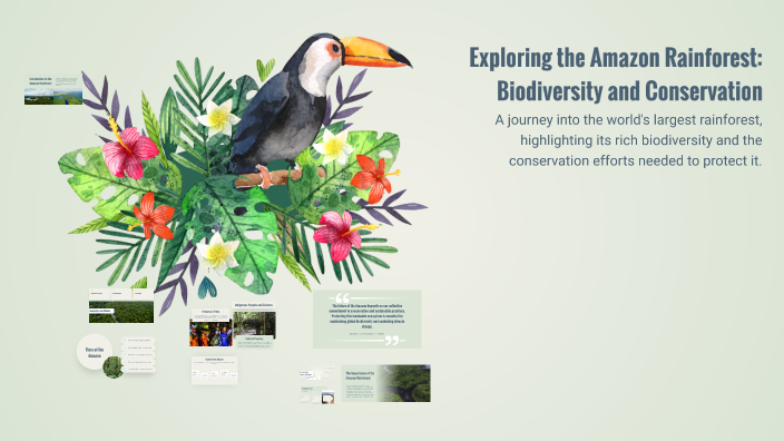 Exploring the Amazon Rainforest: Biodiversity and Conservation by ...