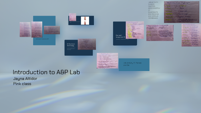 Introduction to A&P Lab by Jayna A on Prezi