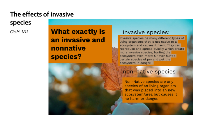 The effects of invasive species by Gio Mathis on Prezi