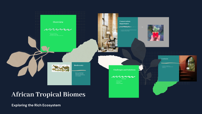 African Tropical Biomes by Rosealina Gomez on Prezi