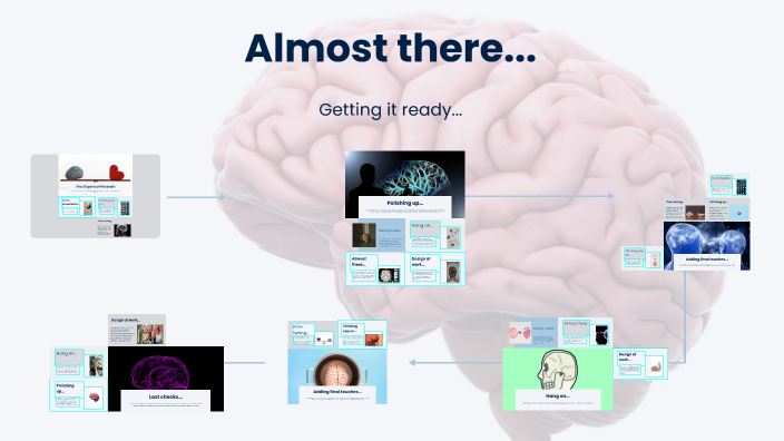 The 20 Parts of the Brain by Jacob Torgerson on Prezi