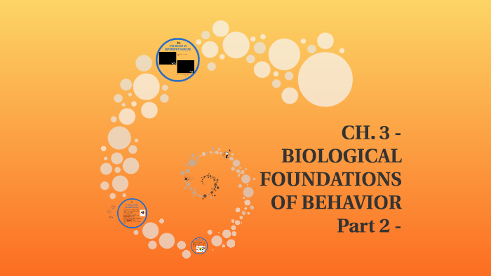 CH. 3-BIOLOGICAL FOUNDATIONS of BEHAVIOR-Part 2 by Linda Olson on Prezi