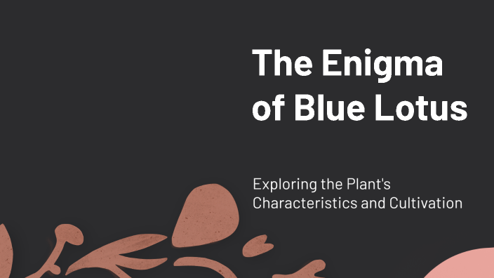 The Enigma of Blue Lotus by _pvny____ on Prezi