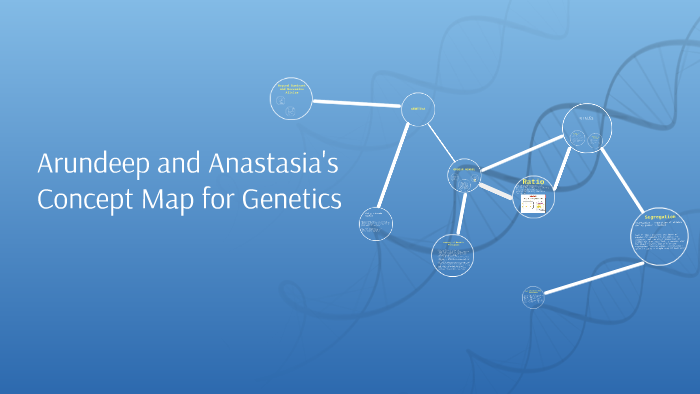 Genetics Concept Map by Anastasia Matano on Prezi
