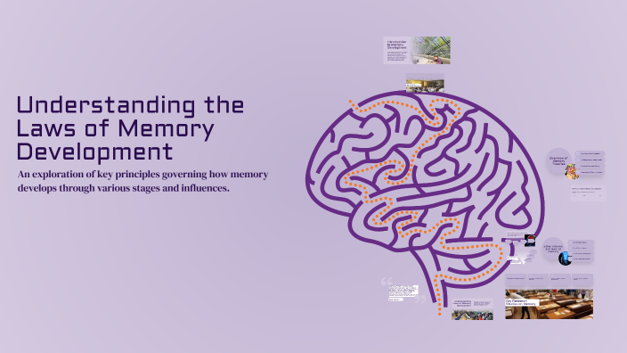 Understanding the Laws of Memory Development by Nodir Ibrokhimjonov on ...