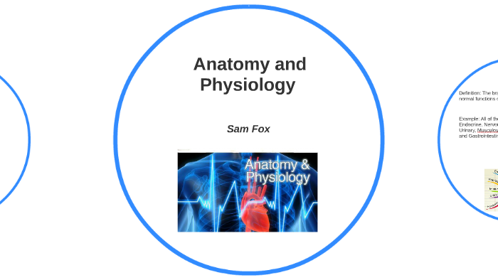 Sam Fox Anatomy and Physiology by Sam F