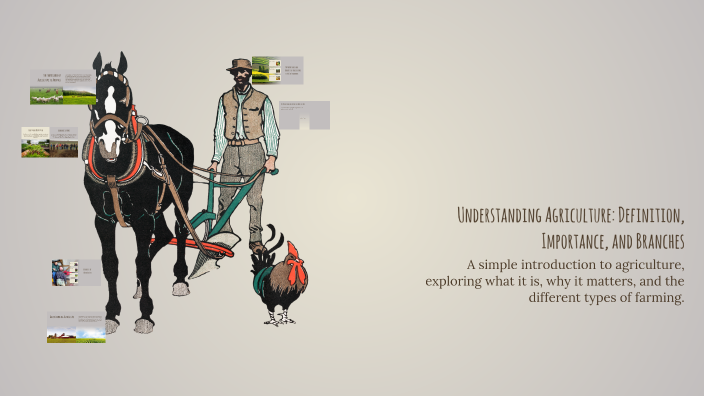 Understanding Agriculture: Definition, Importance, and Branches by Judy ...