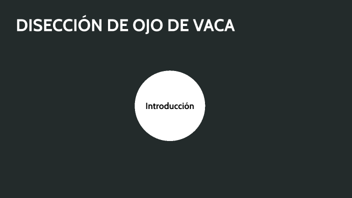 Disección de Ojo de Vaca by Brayan Santiago Herrera Claure on Prezi