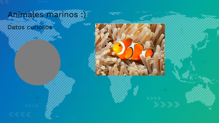 Animales Marinos (datos curiosos :3) by Juerguen Faryth Nieto on Prezi