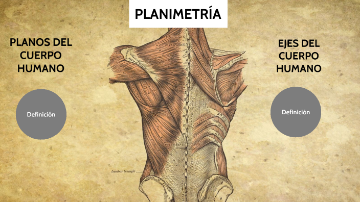 EJES DEL CUERPO HUMANO by Kari Petit on Prezi