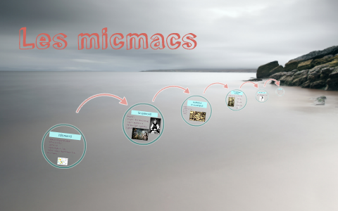 Les micmacs by Rachel Léonard