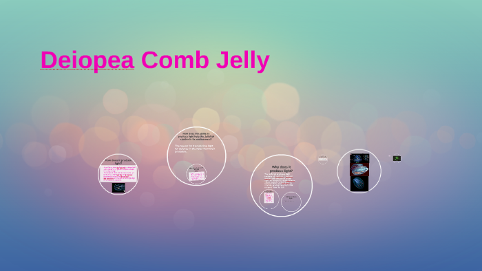 Deiopea Comb Jelly by Luisa Sanabria on Prezi