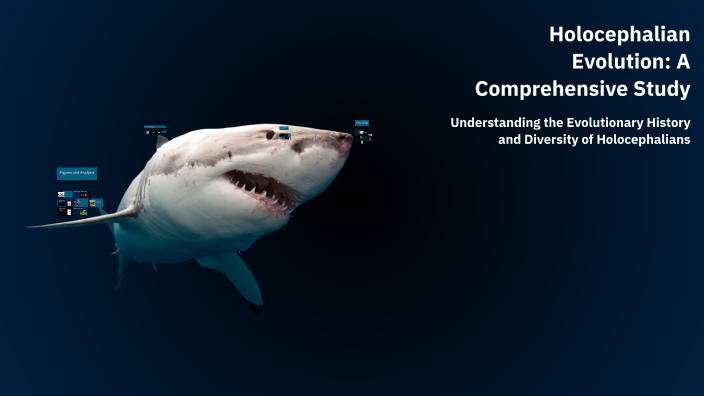 Holocephalian Evolution: A Comprehensive Study by Johnothen Munding on ...