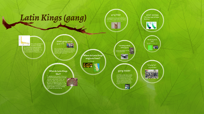 Latin Kings (gang) by Elvis Martinez on Prezi