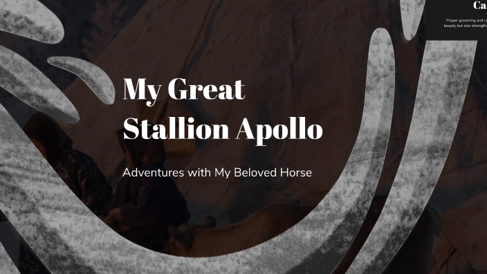 My Great Stallion Apollo by Sud Auhna on Prezi